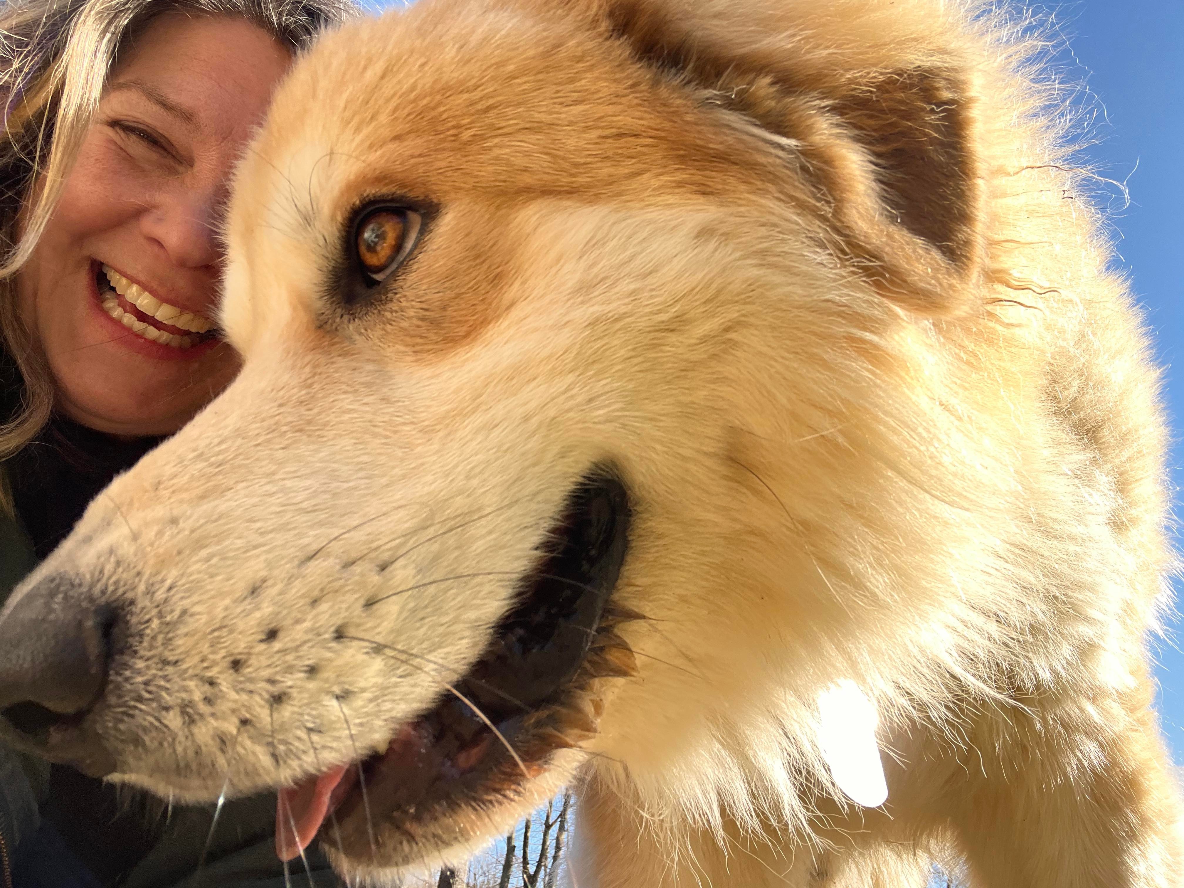 Sila Shepherd Club of America – Official North American Registry Since 2023